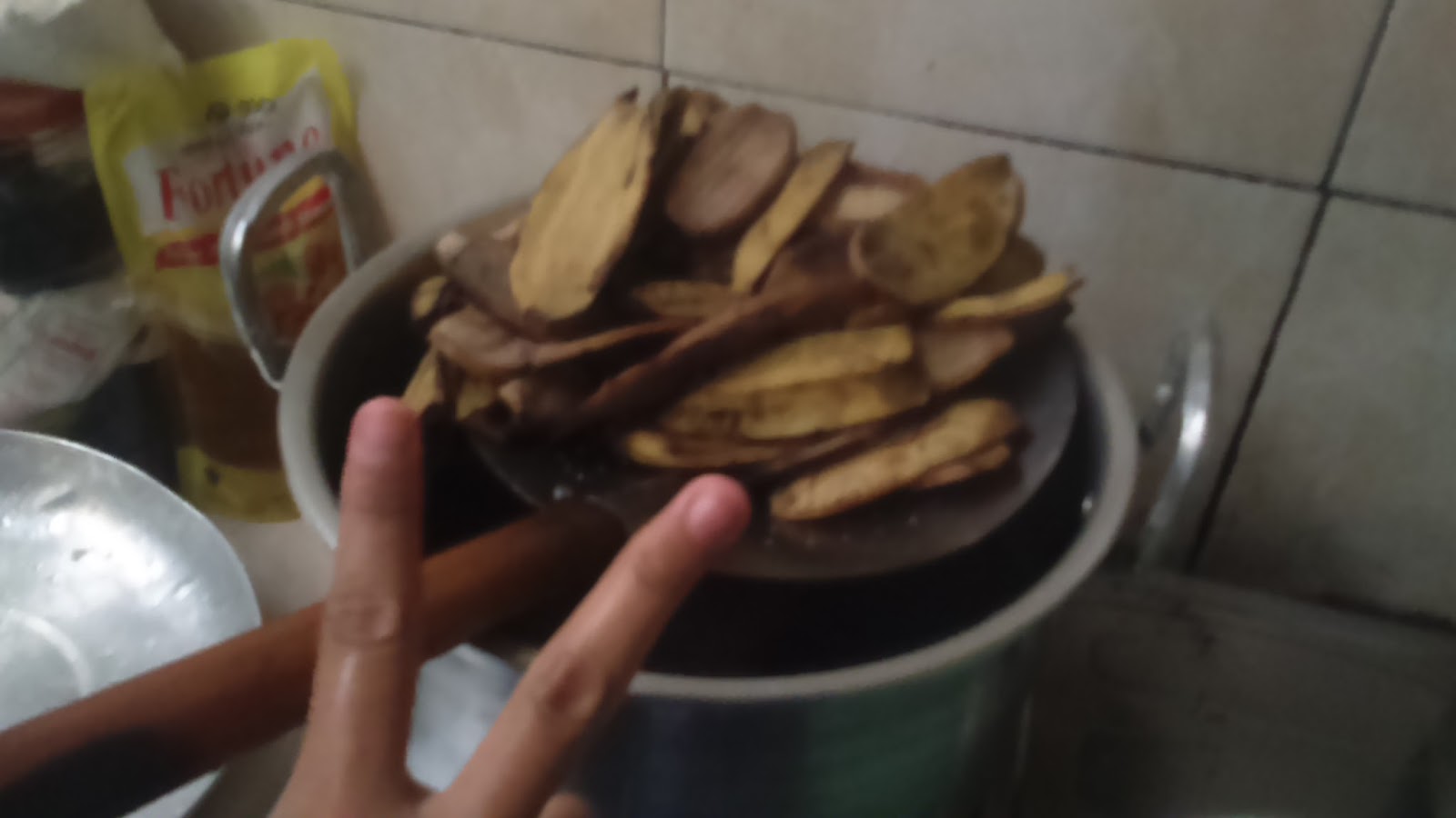 PROPOSAL PELATIHAN: CARA MEMBUAT OLAHAN KULIT PISANG MENJADI NUGGET